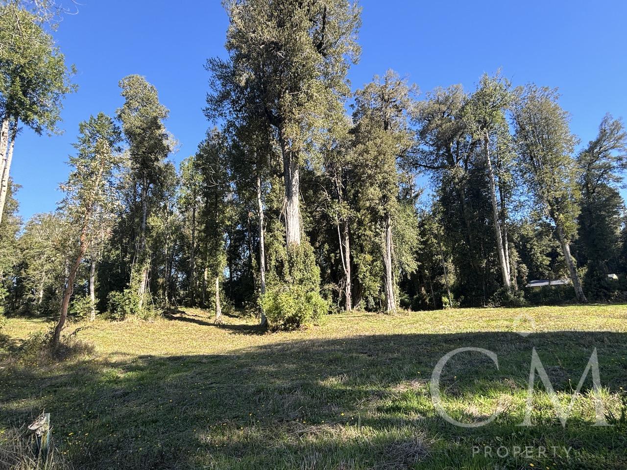 Se venden parcelas en Fundo, Puerto Varas - CM Property